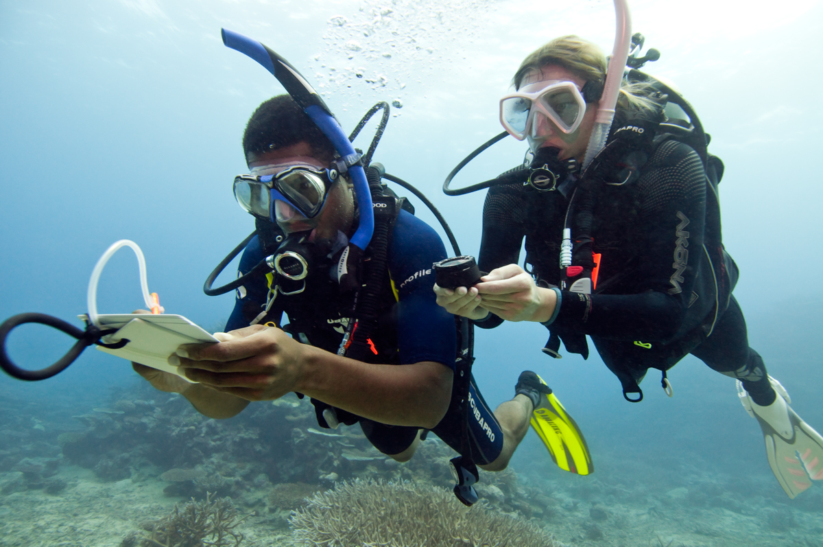 A Dive Course for Everyone! Dive Hightide Watersports Barbados